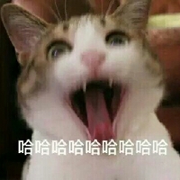 有一天叫二月十二 