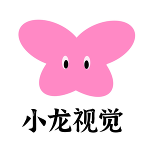 小龙视觉 
