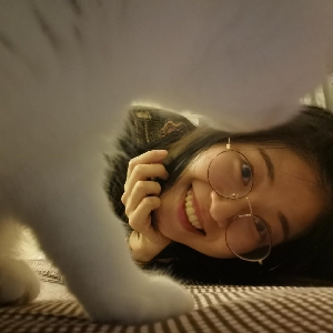 小小一懒猫 