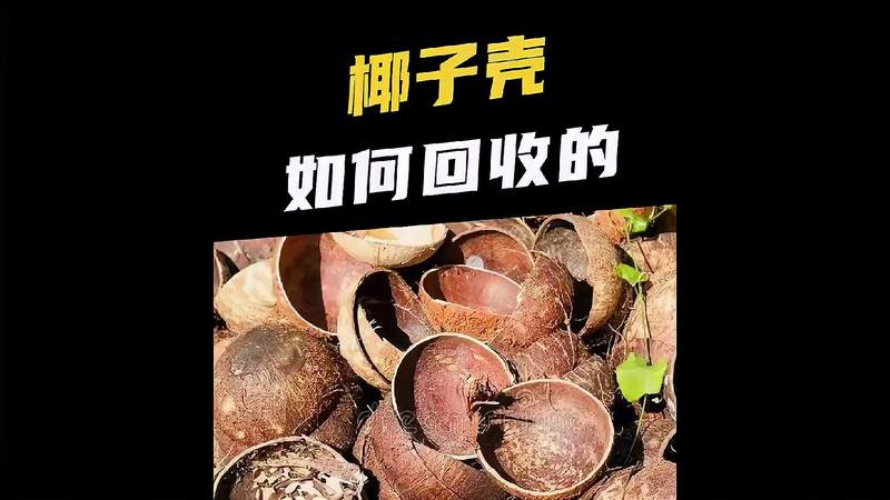 下次别将椰子壳丢掉,还可以制作烧烤的无烟碳