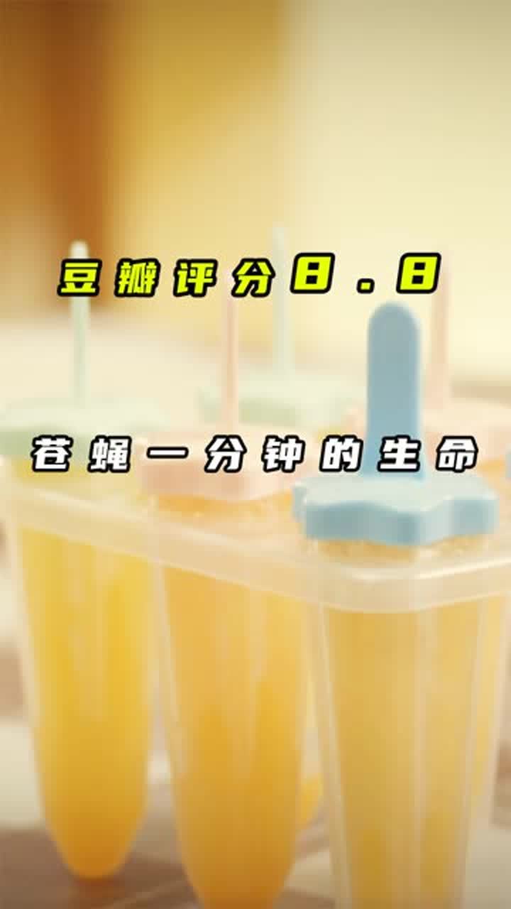 豆瓣评分8.8,《苍蝇一分钟的生命》