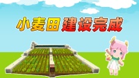 迷你世界桃子生存日记 第9集 自动小麦田终于完工了,以后收小麦简单...