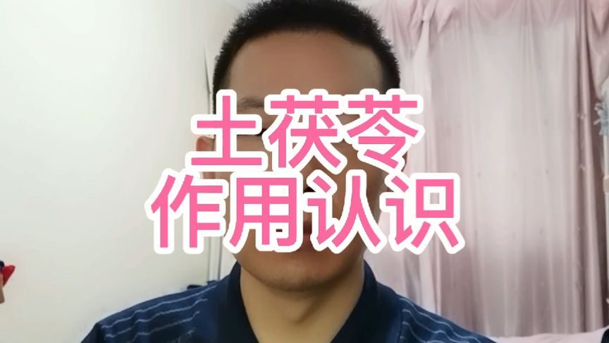 跟教授学习认识中药作用:土茯苓作用认识