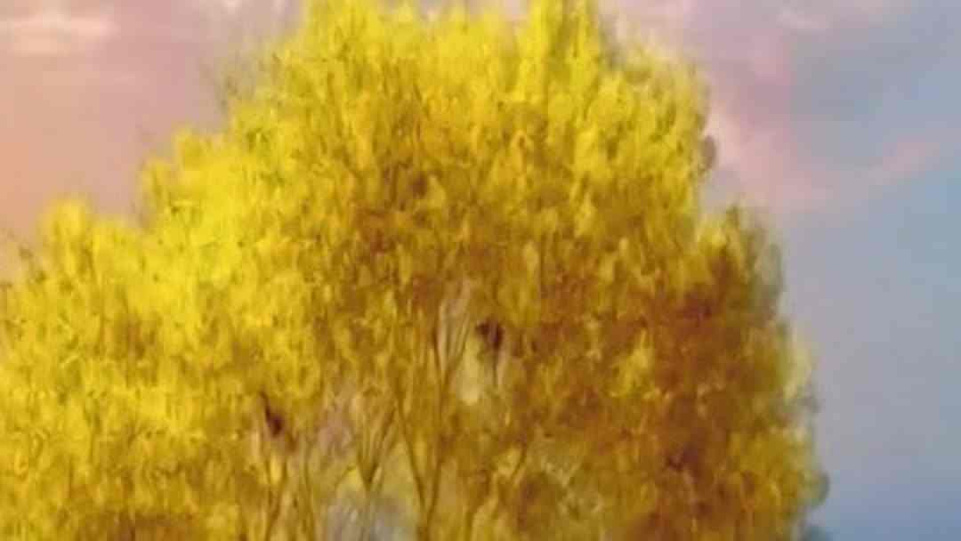 ps如何利用通道抠图?