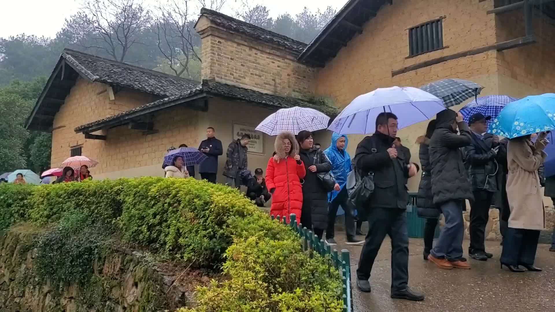 这几位女士拜谒毛主席铜像都主动收伞,发自内心,这个细节很好