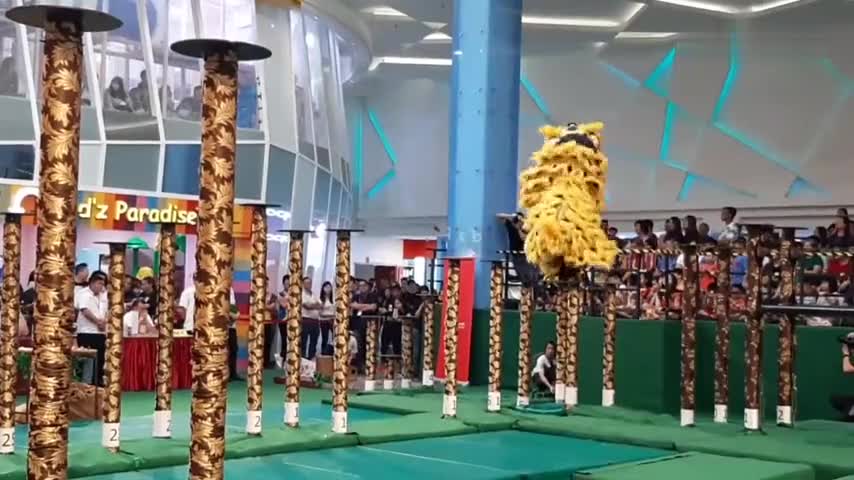舞狮比赛视频,专业高桩舞狮表演欣赏