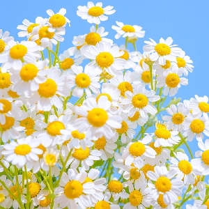 健康小助手小贾 