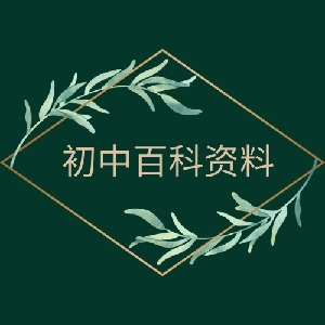 子浩子浩子 