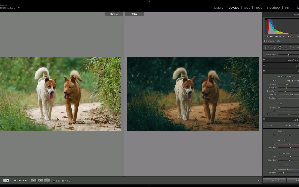 Lightroom渐变滤镜不按套路用法 互补颜色主题 后期调色