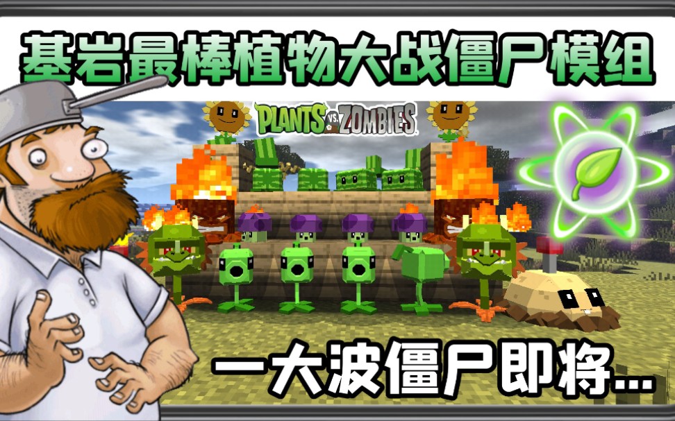 手机版我的世界基岩免费的最棒植物大战僵尸模组生存玩法!
