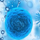 在凌晨三点的夜晚 