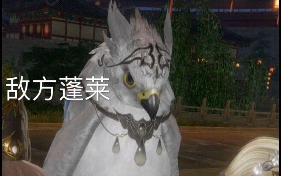 外功牌面蓬小莱6w洞洞装手动能打多少DPS?