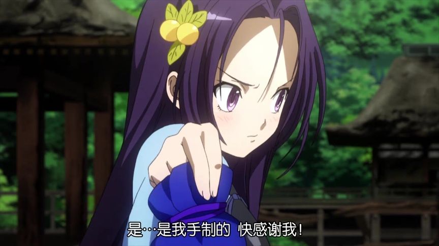 织田信奈的野望【幸福】