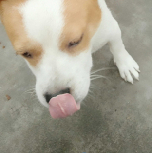 偶家妹子i豆豆 