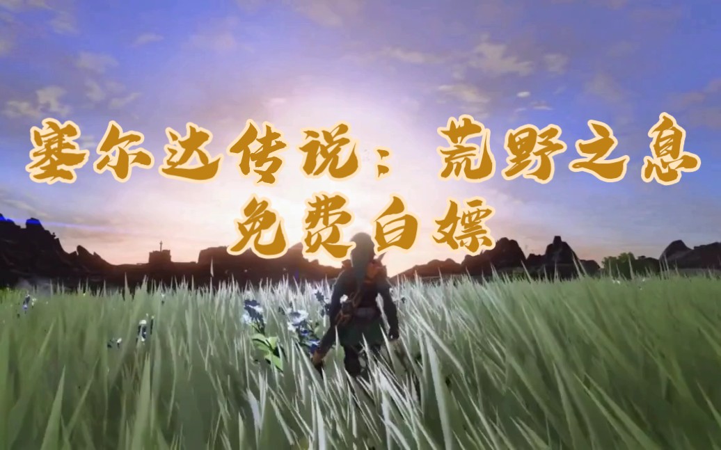 塞尔达传说:荒野之息(免费白嫖)。