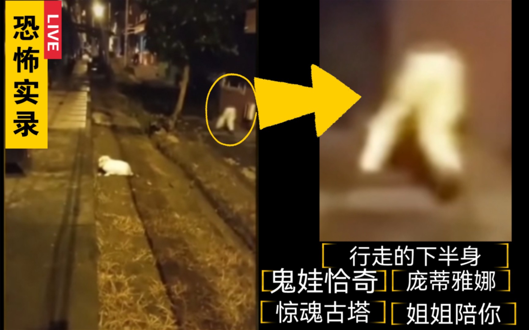 恐怖实录‖小姐姐陪你坐电梯…