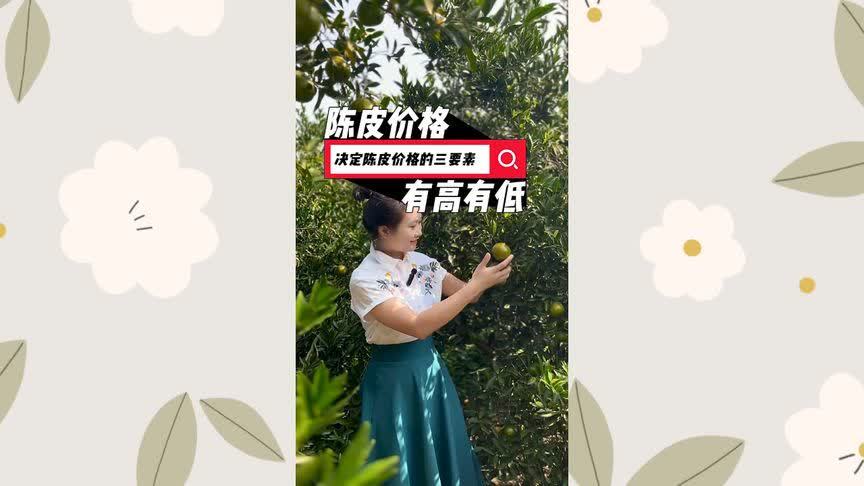 新会陈皮价格三要素,你真的了解吗?