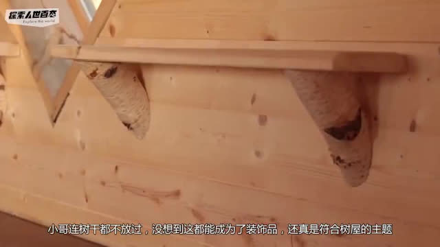 老外在树上建造了一间树屋,屋子充满了设计感