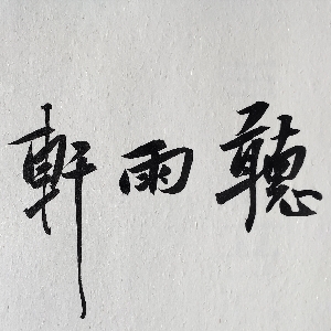 听雨轩书画 