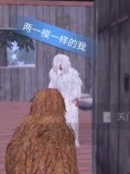 两一模一样的我