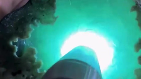 小千淘的翡翠原石,开窗看看里面如何?