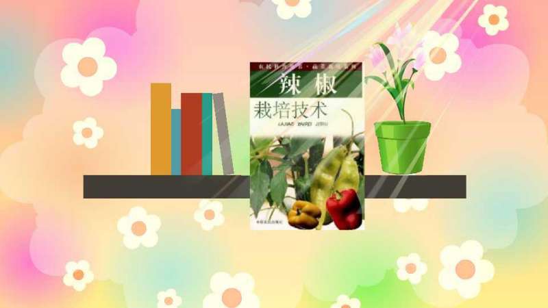 一分钟读懂辣椒栽培技术