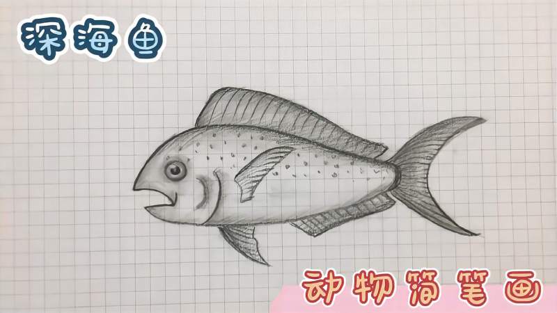 动物简笔画:深海鱼