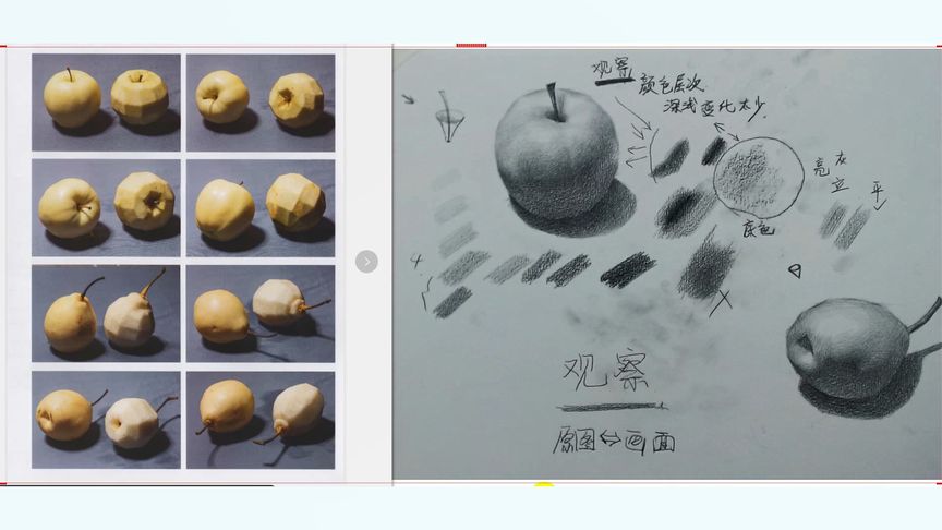 全程干货。零基础的水果静物素描教学哦~点赞收藏吧