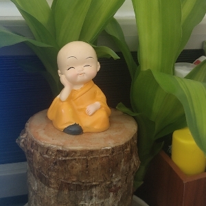 同志们要加油呀 