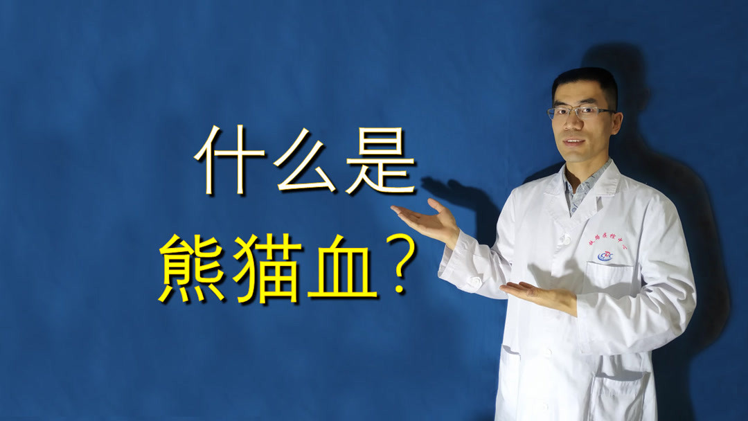 什么是熊猫血?Rh阴性血型为什么又称为熊猫血?