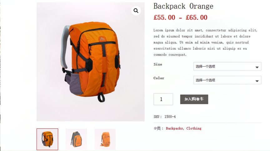 WordPress DIVI主题教程:WordPress主题DIVI的3个电商模块介绍!