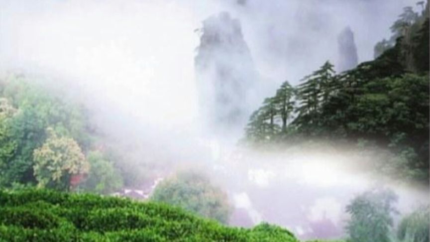 乡村振兴我为家乡建言献策,创建一种黄山特色的现代服务业新模式