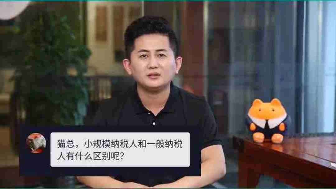 赋企猫:小规模 纳税人和一般纳税人有什么区别?