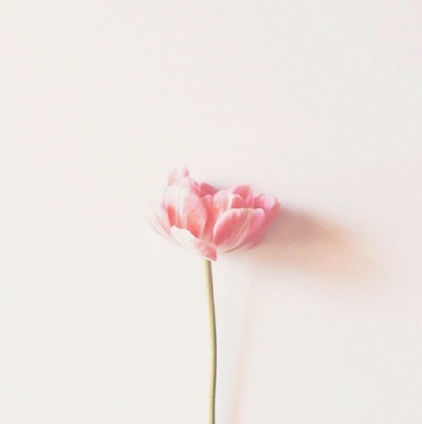 茗仁情坊 
