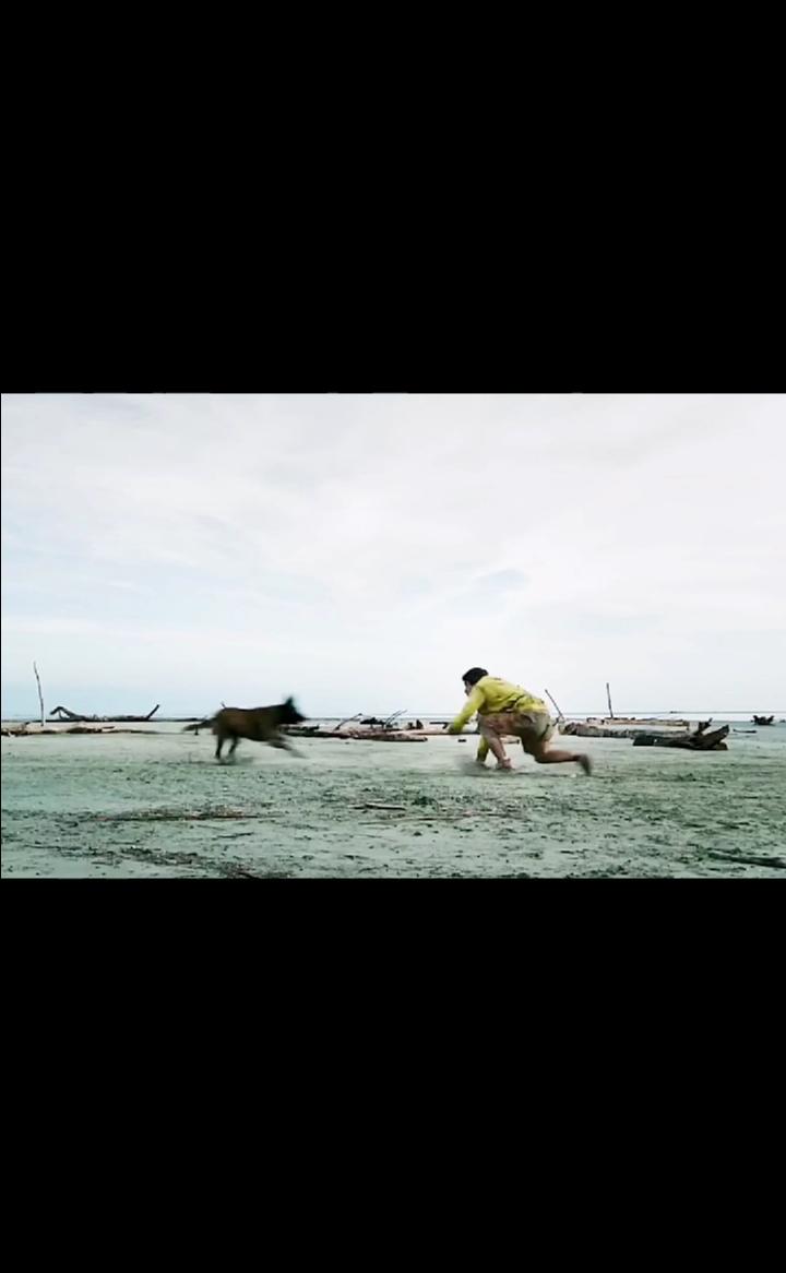 第四次世界大战的真实景象,毒气漫天,但最黑暗的还得是它#影视#