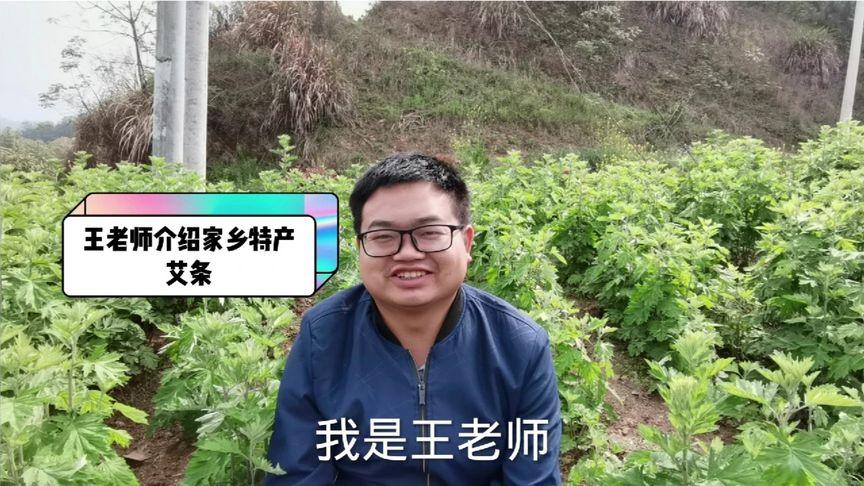 我为家乡代言,介绍家乡特色艾草
