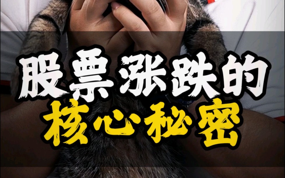 股票涨跌的核心秘密