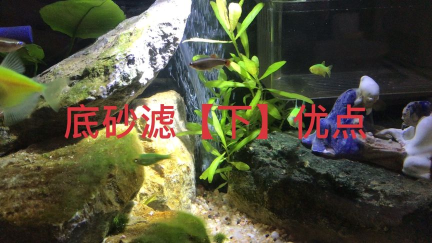 底砂过滤系统的优点