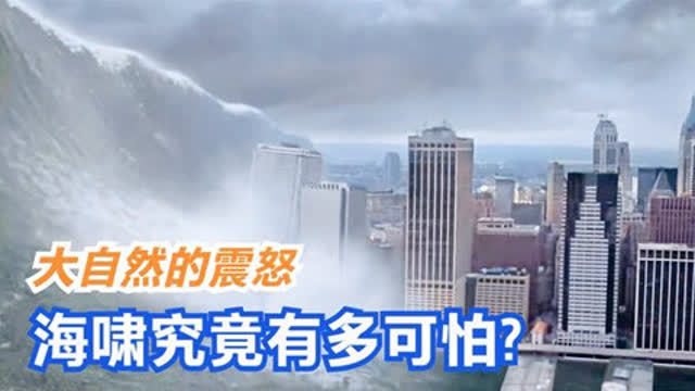真实的海啸到底有多可怕一位幸存者告诉了我们真相