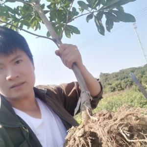 浙江省马涧镇杨梅之乡 