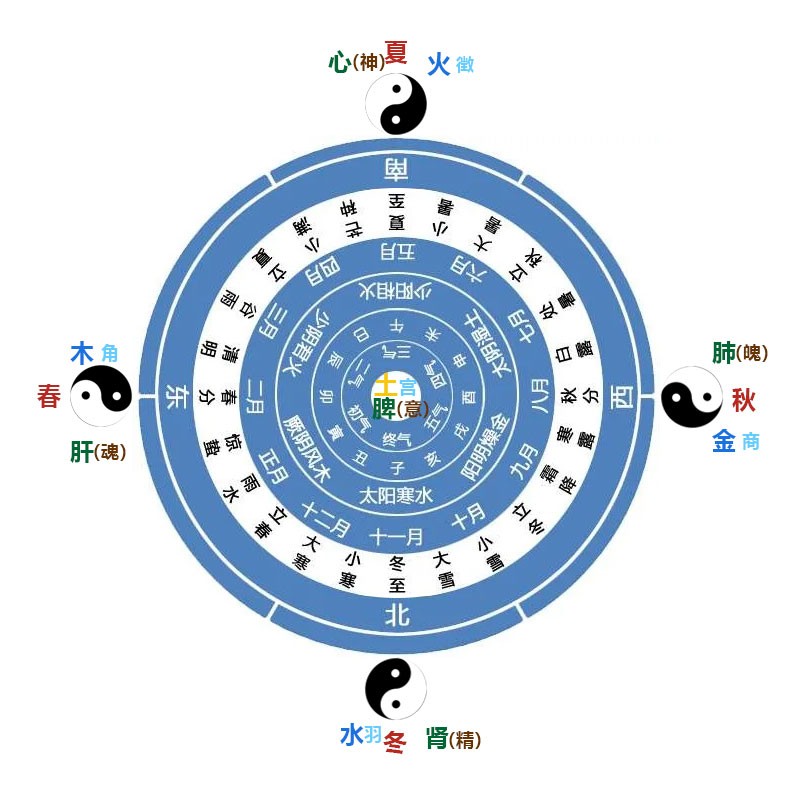驼骆翔子 
