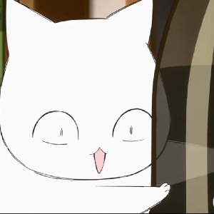 运气爆棚的圆脸猫 