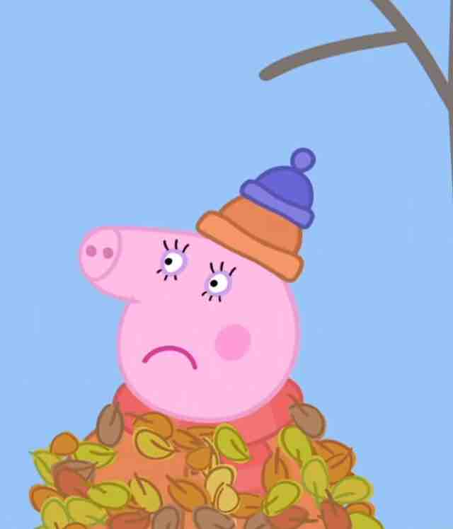 芭蕉树上的榴莲 