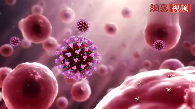 医学动画演示:冠状病毒是如何攻击人体的