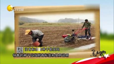 没有标签的种子不能买,这类种子不符合相关规定