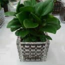 盛宁源医疗感控耗材 