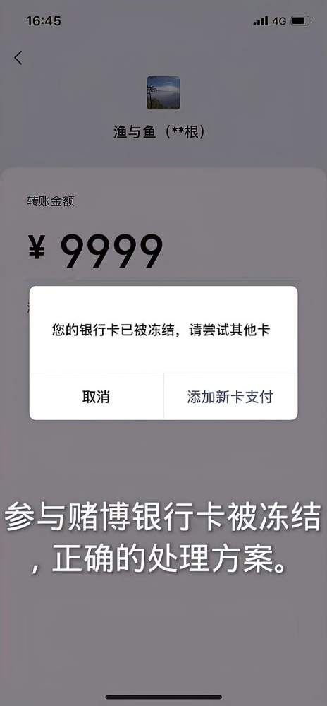 参与赌博银行卡被冻结,正确的处理方案。