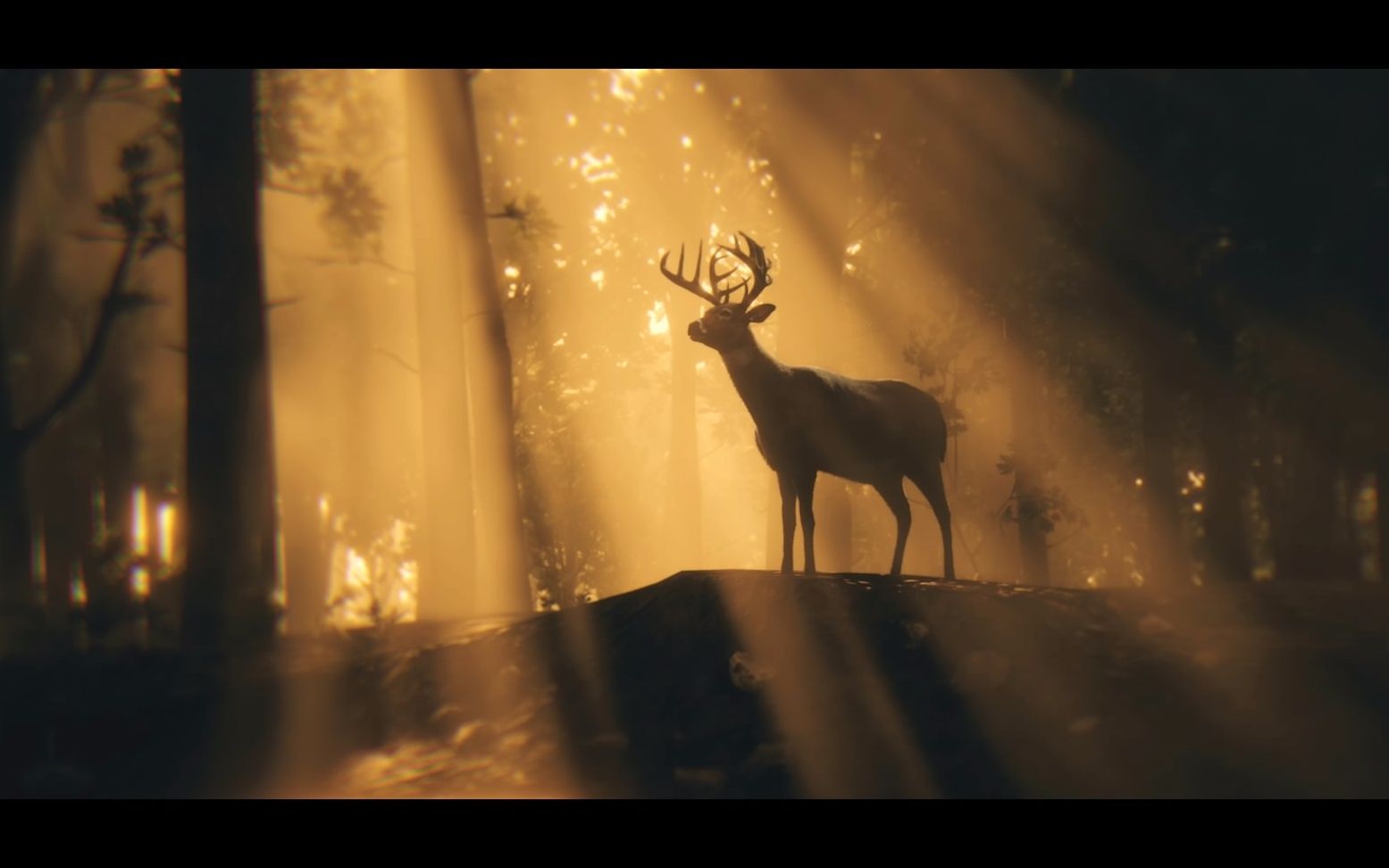 《荒野大镖客2》有意思的小片段~纪念一下~