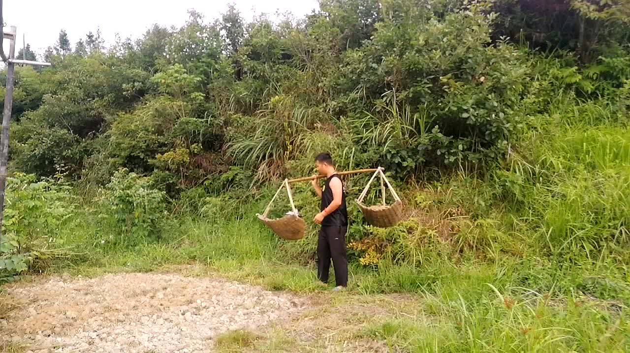 农村小伙去种菜,乡亲笑他不会挑撮箕,这不得证明自己?