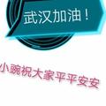 pvz小豌 